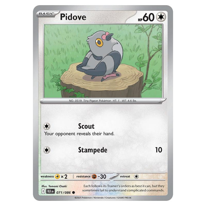 Pokemon - Scarlet & Violet - Black Bolt - Pidove - 071/086